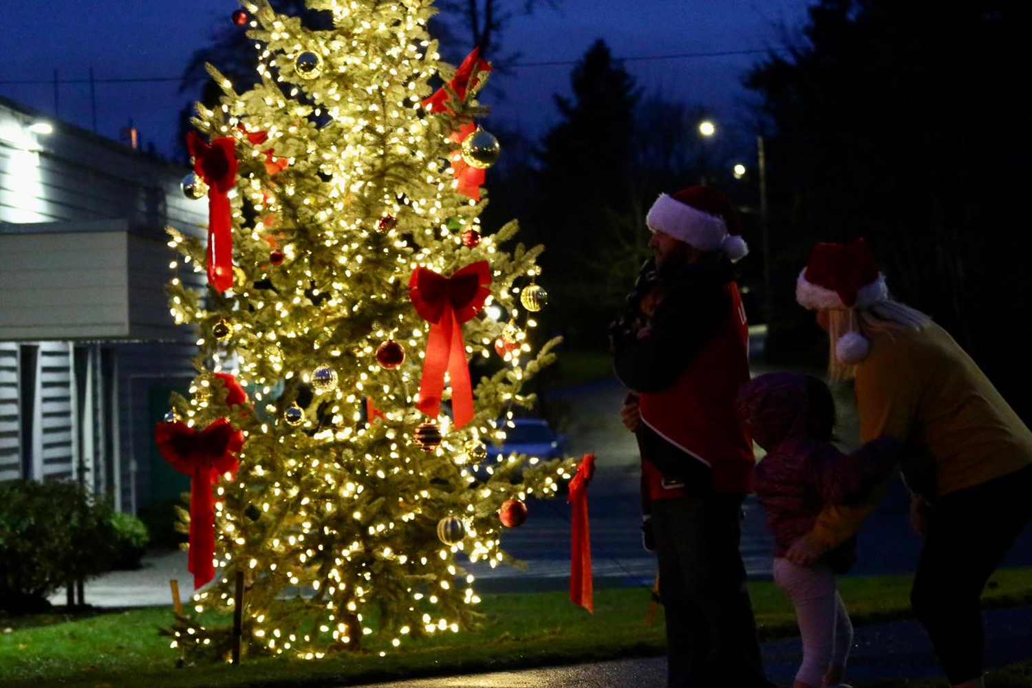 Oregon Conference Teams up with Young Adults to Plant New Christmas ... Oregon Conference Teams up with Young Adults to Plant New Christmas ...